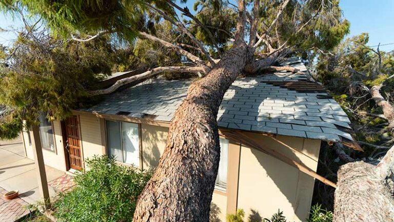 Insurance Claims: When to Claim vs. Not Claim
